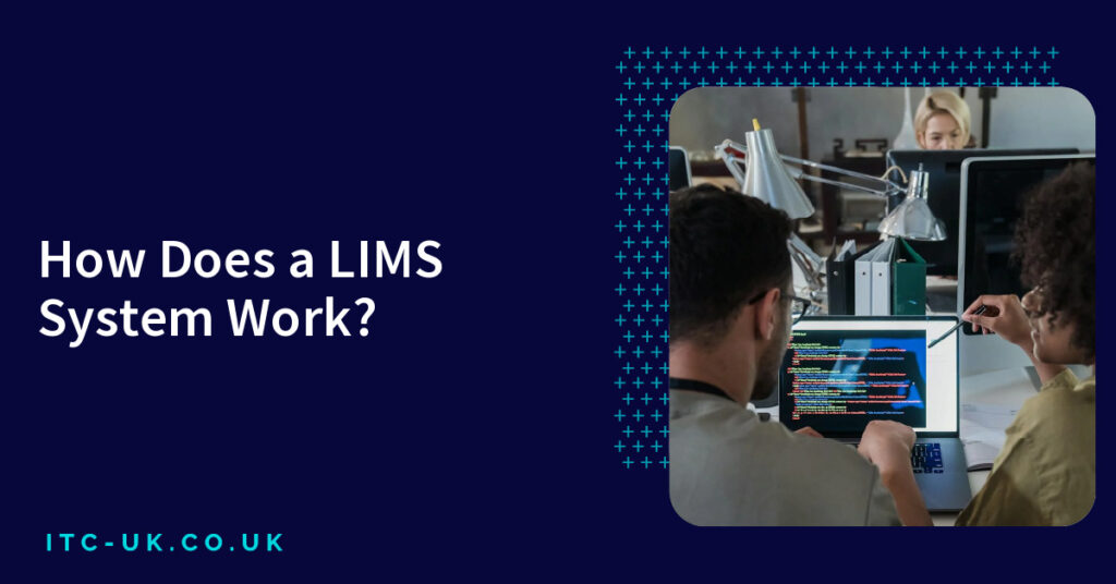 How Does a LIMS System Work?